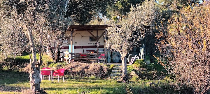 Caravane Pour Se "Pauser" - Castelo Branco