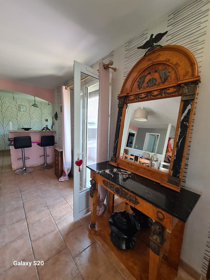 La Villa Des Cerisiers - Castres