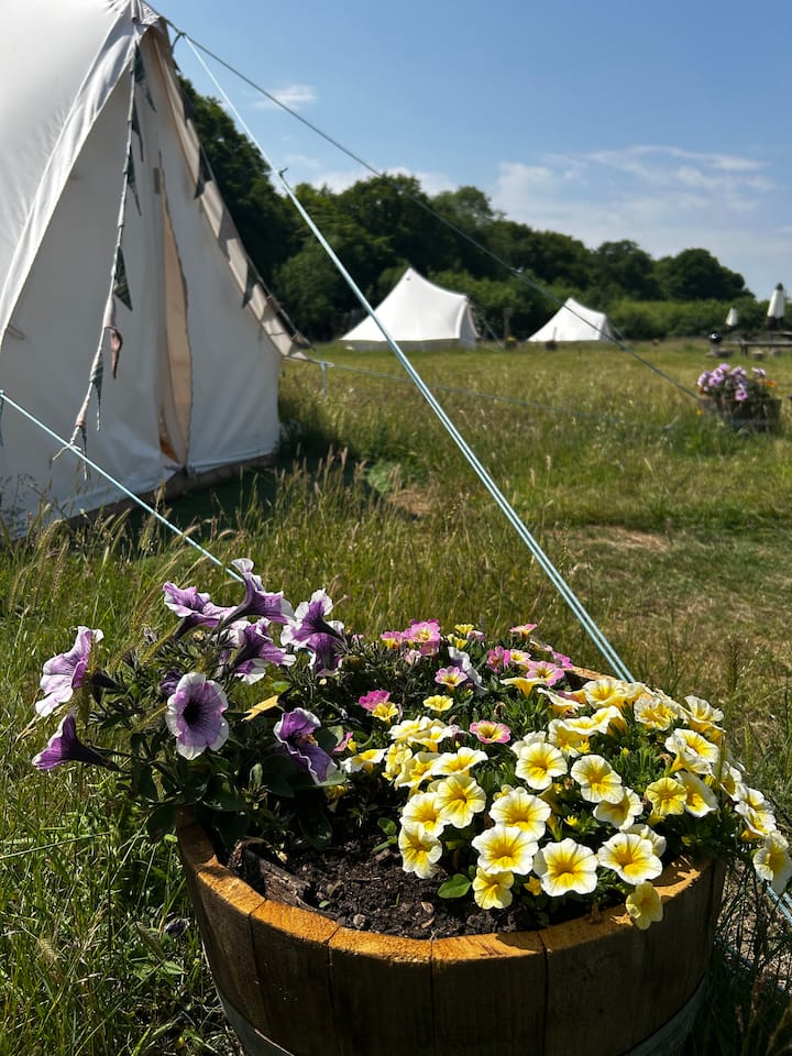 “Clover” - Rosewood Camping - 5m Bell Tent - Whitstable