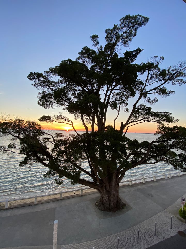 Levé De Soleil Sur Iø - Saint-Trojan-les-Bains
