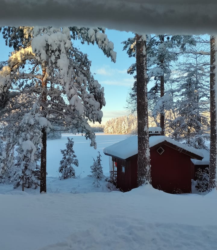 A Cottage On The Shore Of A Clean Lake - Tammela