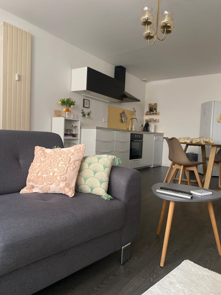 Appartement Spacieux Et Confortable Au Centre - Chambéry