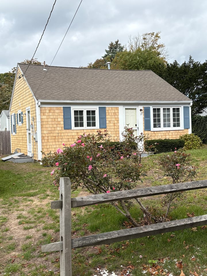 Escape To The Cape - Dennis