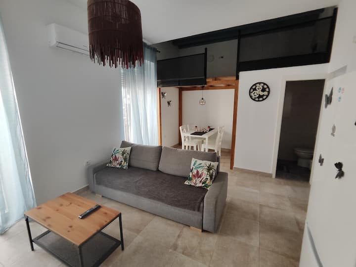 Junto Al Falla - Cádiz