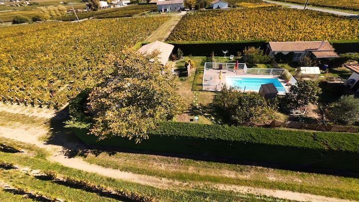 Gîte Cosy, Terrasse, Piscine, Jardin Calme Garanti - Libourne