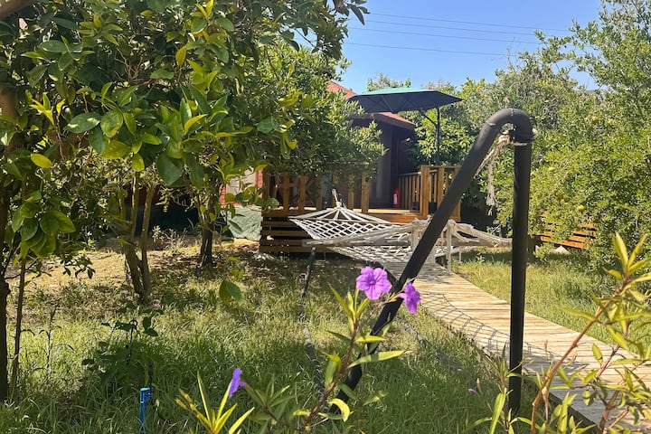 Beachside Bungalow In A Serene Garden - Çıralı