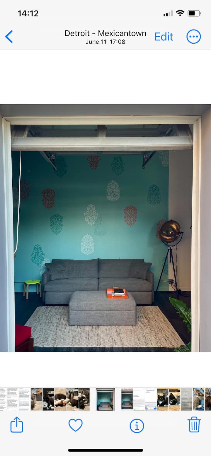 Leroy’s One Bedroom Loft With A Great Patio - Detroit