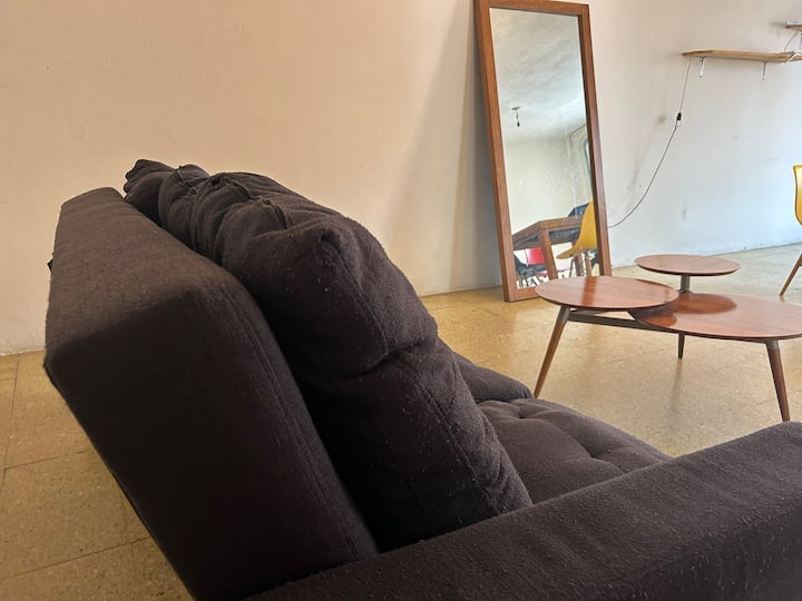 Trabajo, Mascotas, Amigos  Metepec Centro - Metepec