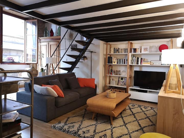 Loft Authentique Avec Mezzanine Pierres Apparentes - ibis Styles Lyon Centre Confluence