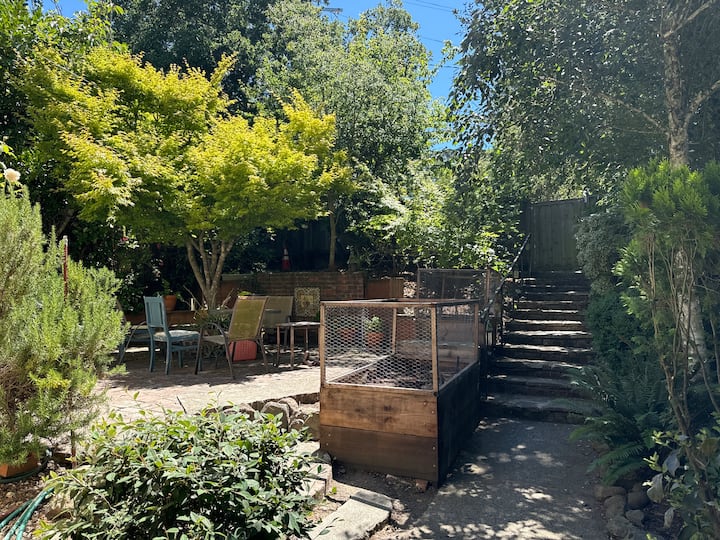 Treetop Getaway Berkeley Hills Home - Berkeley