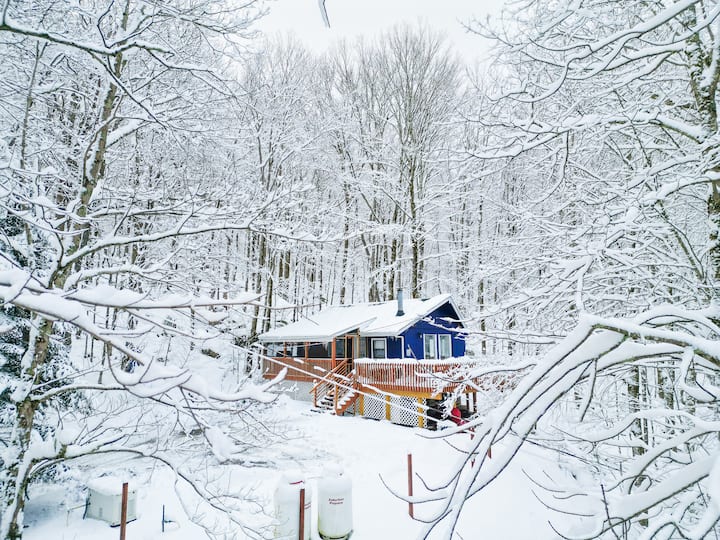 Catskills Cabin Winter Oasis - Ski, Hike, & More! - State of New York