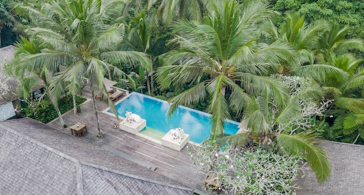 Romantic Pool Villa With Jungle View Near Ubud - Ubud