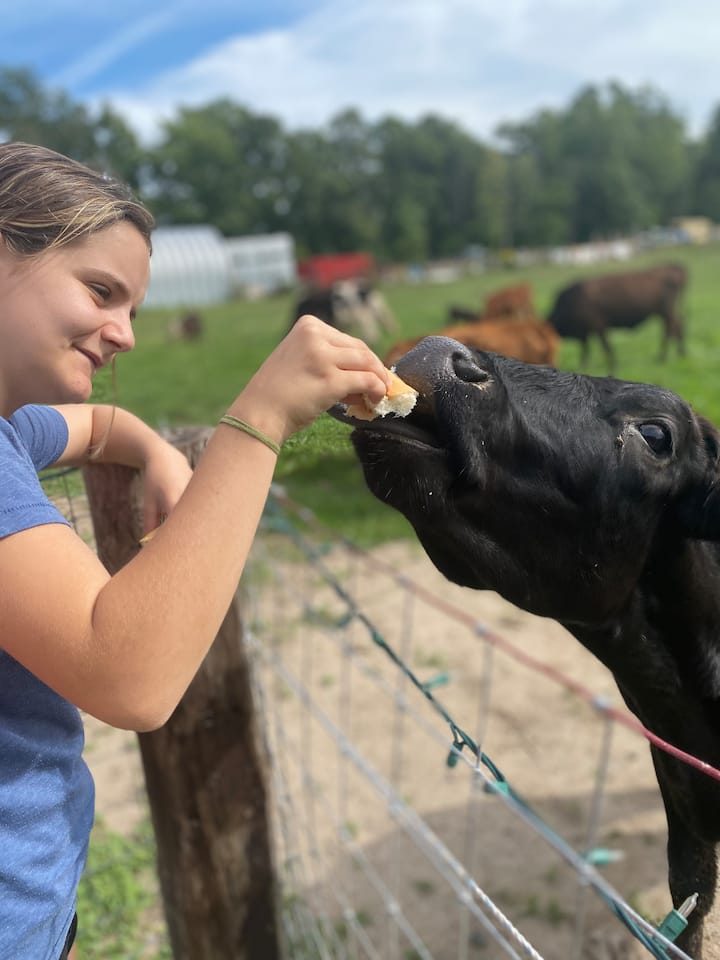 Amazing Farmhouse With Beautiful Views - Grimsby