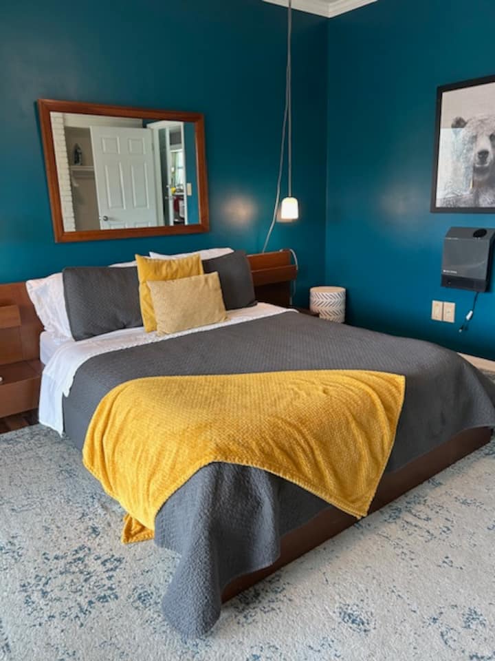 Light And Bright West Asheville Guest Suite - Asheville, NC