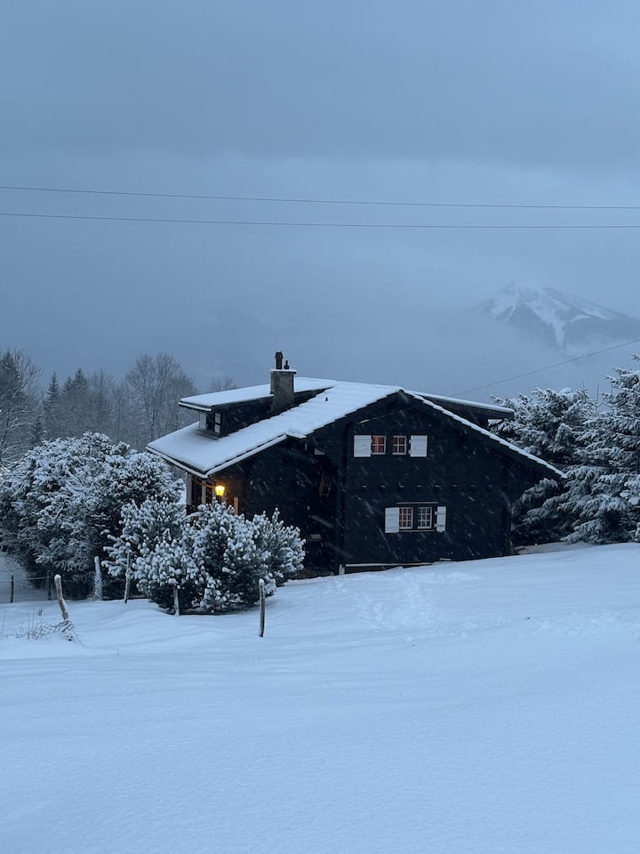 Chalet Villars/ollon Avec Vue - 12 Couchages - Les Diablerets