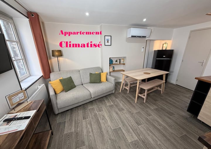 Joli F1 En Duplex - Hyper Centre - Climatisé - Clermont-Ferrand