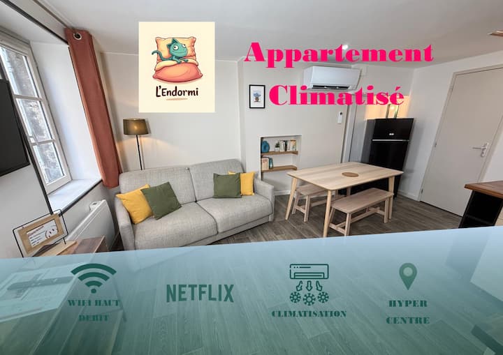 L'endormi 3 - F1 Duplex - 4 Voyageurs - Climatisé - Clermont-Ferrand