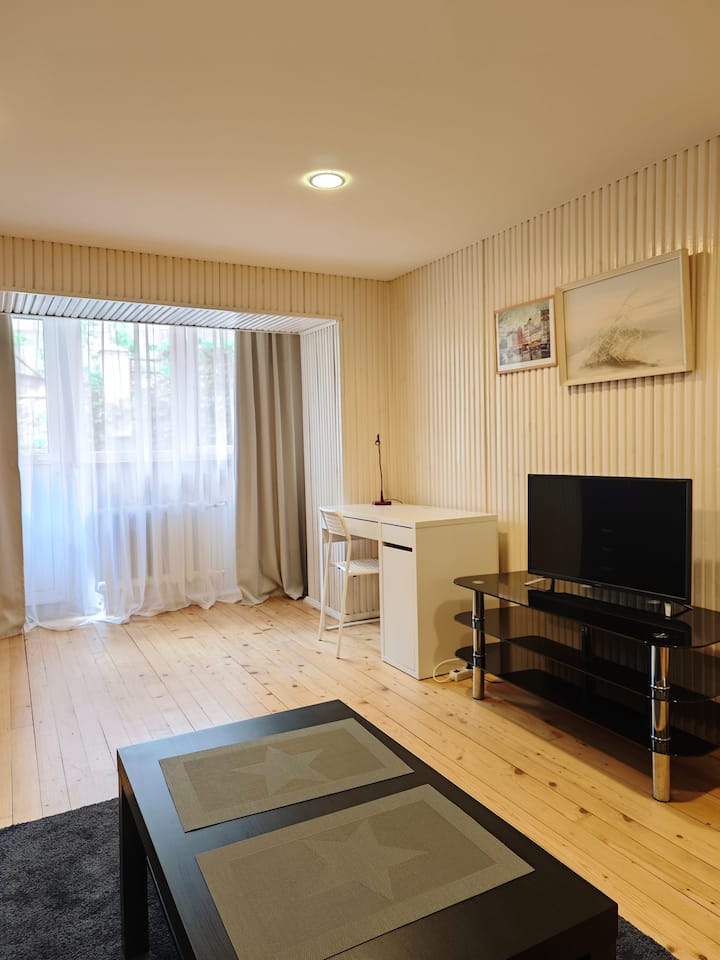 Flat With Separate Entrance 1 Km From The Old Town - Vilna