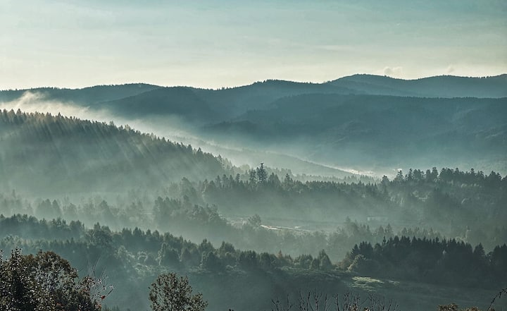Gîte :Vosges Alsace ,Vue Panoramique Pleine Nature - Black Forest