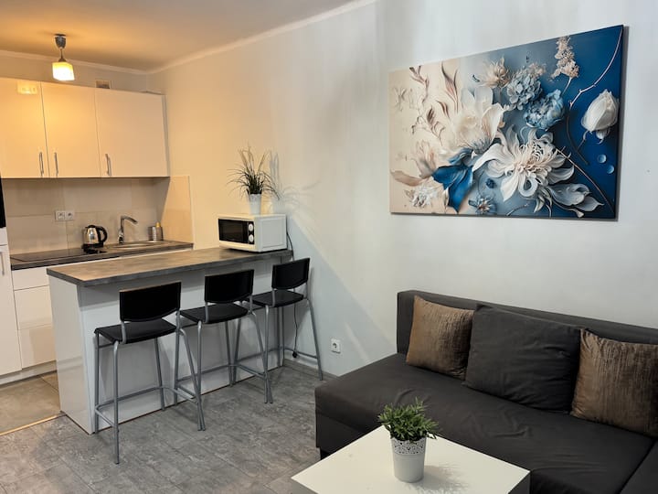 Coser 819 - Varšava