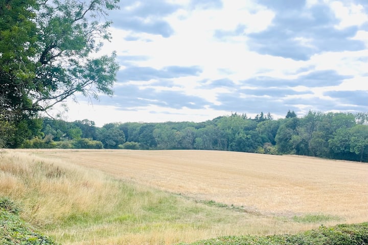 Country House W/ Stunning Views - 2 King En-suites - Farnham