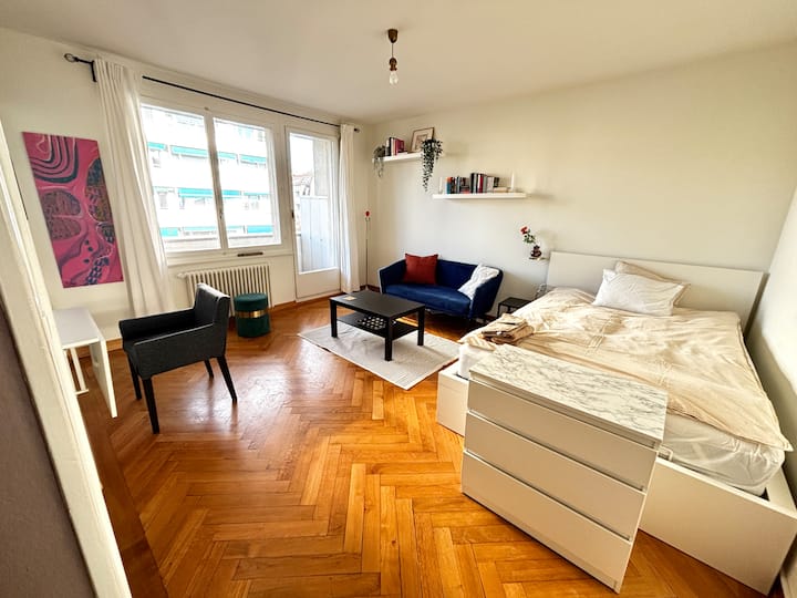 Gorgeous Studio Flat By The Lake - Lausanne