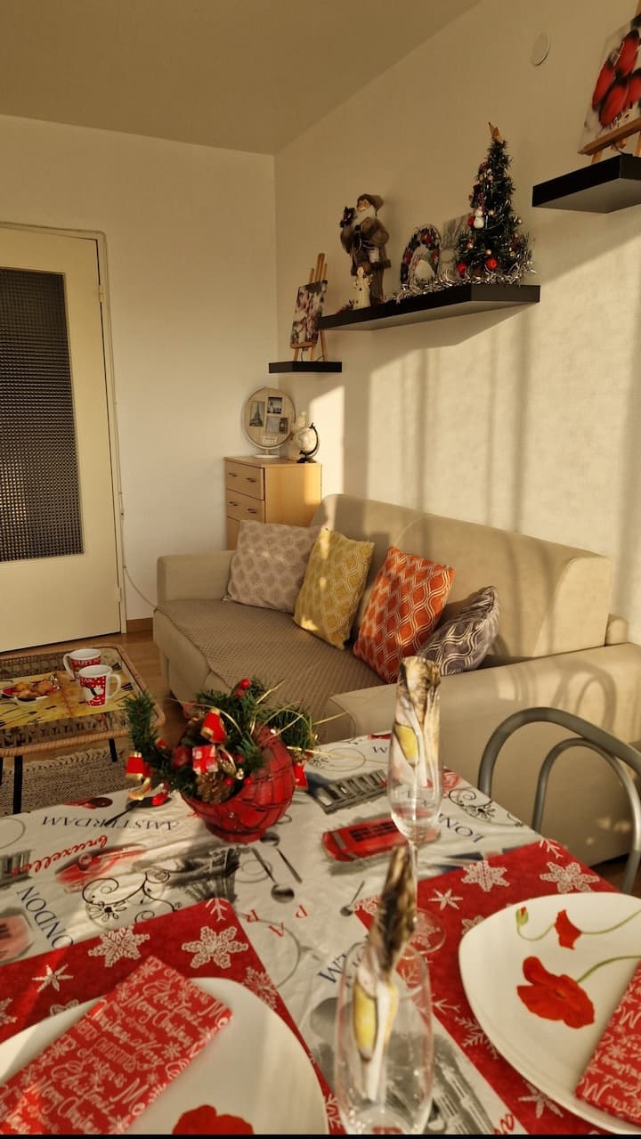 Gîte "Les Mimosas", à Sélestat - Sélestat