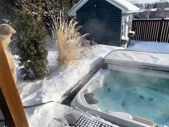 Modern Classy Suite Pet-friendly W/hot-tub - St. Albert