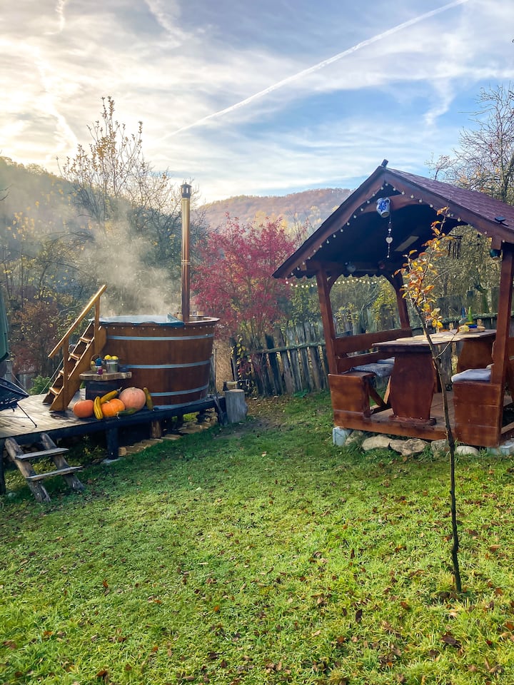 Livada - Sarmizegetusa