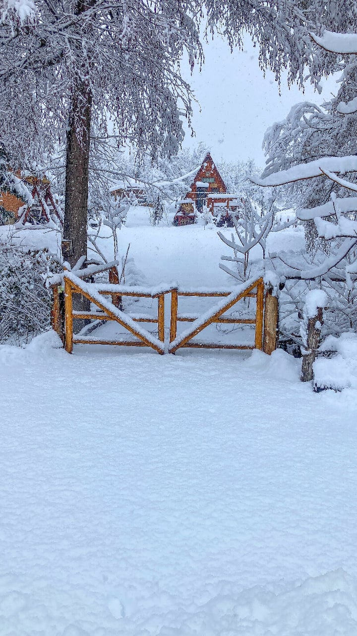 Livada - Sarmizegetusa