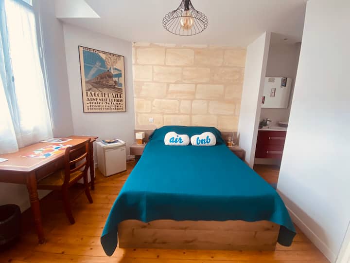 Chambre Lumineuse Avec Douche Et Wc Privatifs - Talence