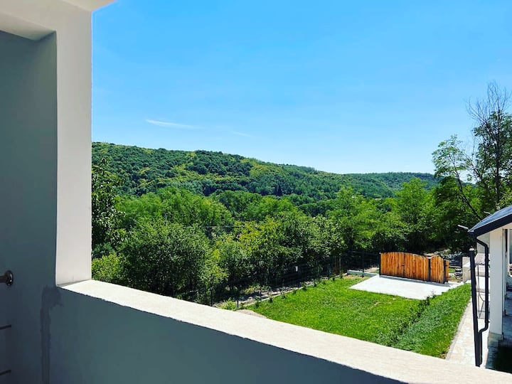 Casa Maria Sarata Monteoru - Pietroasele