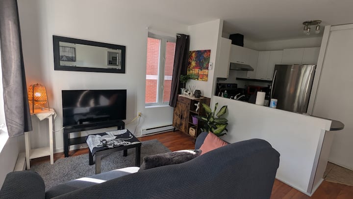 Monthly 1 Bdr Metro Green Line - Montreal