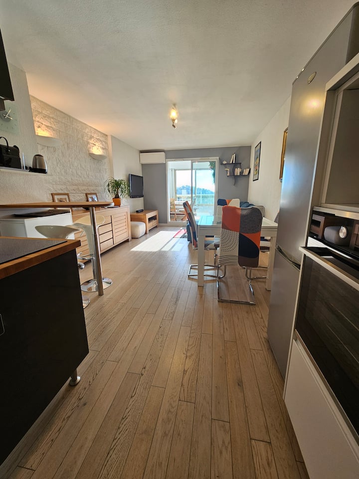 Des Lauriers Au Cap Vert - T3 Vue Mer - Climatisé - Bandol