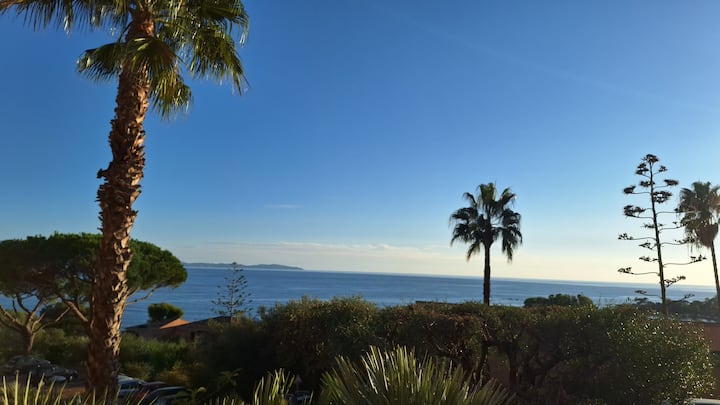 Grand Studio Bord De Mer Refait à Neuf - Ajaccio