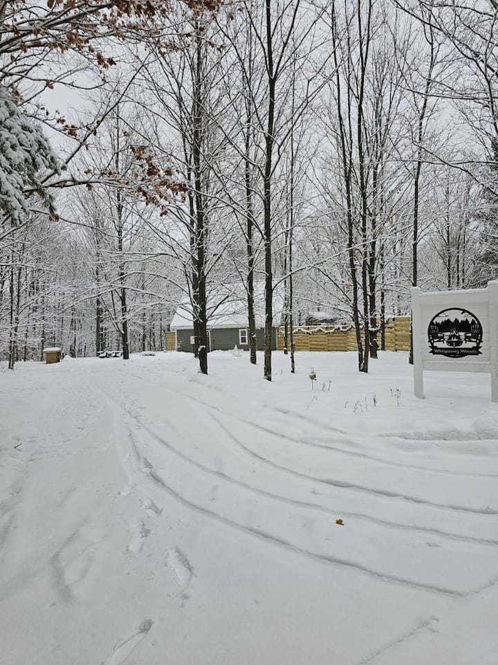 Cozy Winter Cabin | 30 Min To Crystal Mountain - Michigan