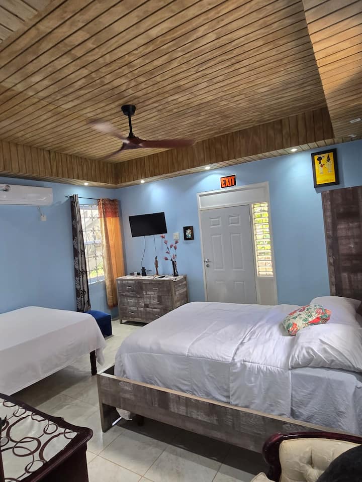 Private Oceanfront Hideaway • Gazebo & Views - Jamaica