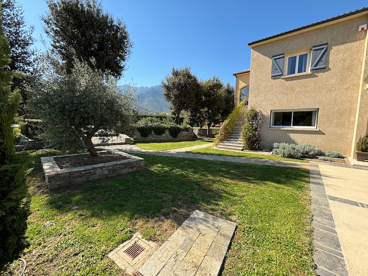 Appartement Avec Piscine - Corte