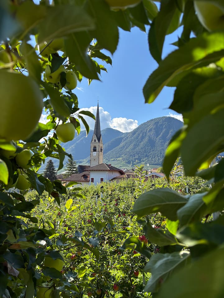 Vacanze In Casa Storica - Cles