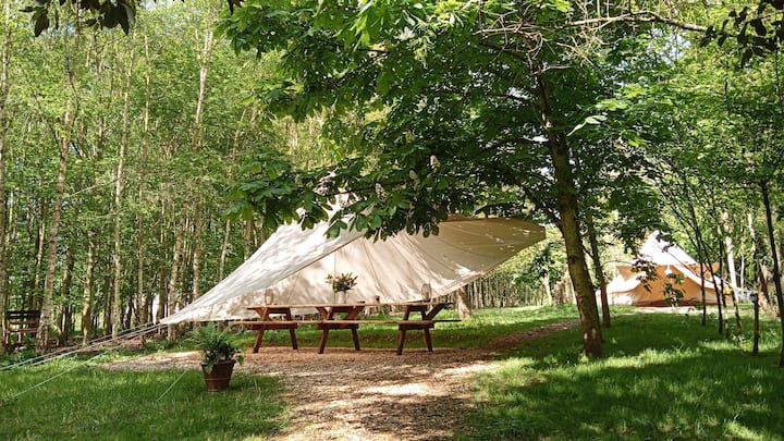 To The Trees Glamping- Exclusive Use, Sleeps 12. - Herefordshire