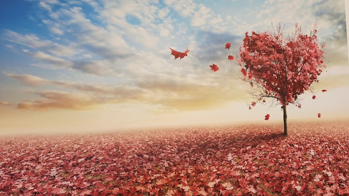 Re Lear Al Lago, Casa Con Giardino E Piscina - Peschiera del Garda