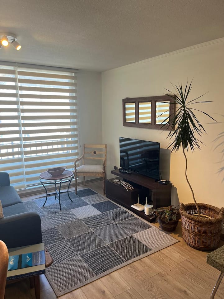 Depto Full Céntrico + Estacionamiento - Los Lagos