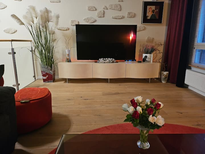 Kolmio+sauna Pyhäjärven Ranta,mustavuori, Tampere - Tampere