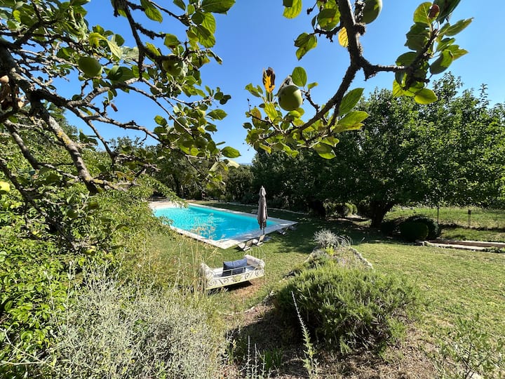 Luberon, Domaine Privé D'exception, 10ha, 14 Pers - Vaucluse