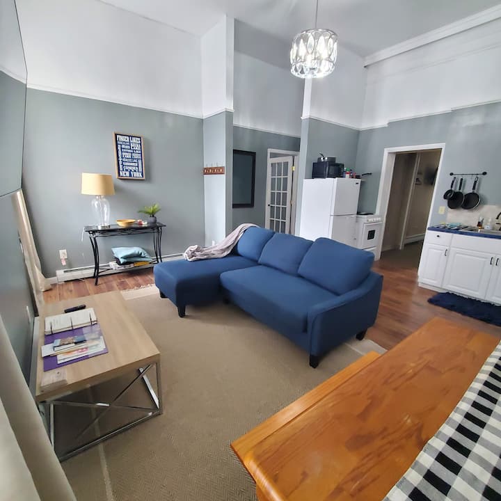 Downtown, 1st Floor With 2 King Beds, Pet Friendly - Skaneateles, NY