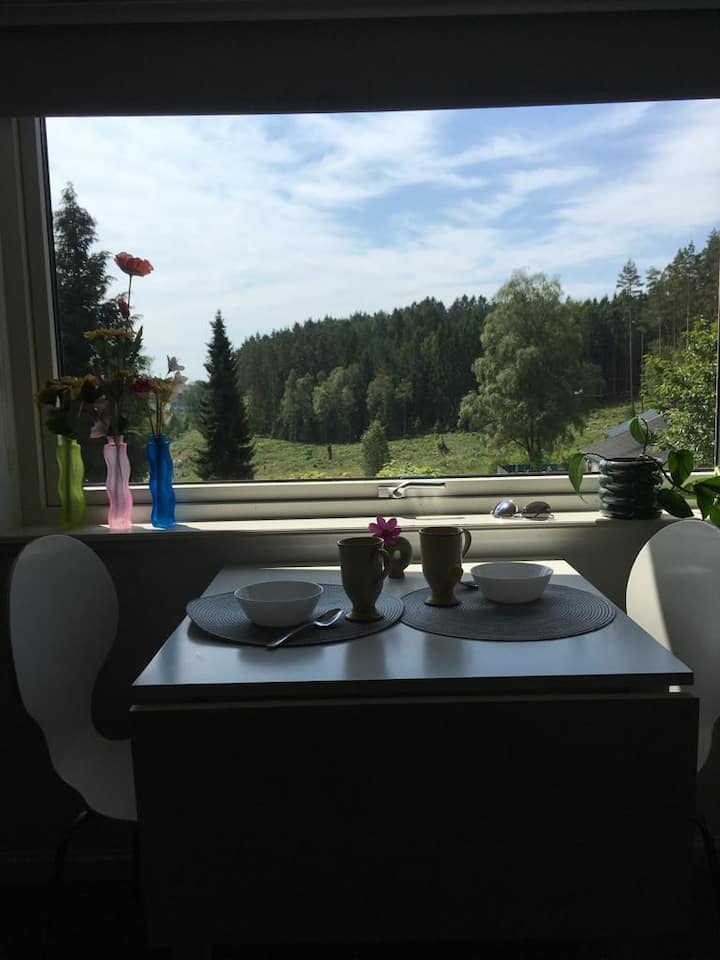 Mysig Lya Söder Om Göteborg - Kungsbacka
