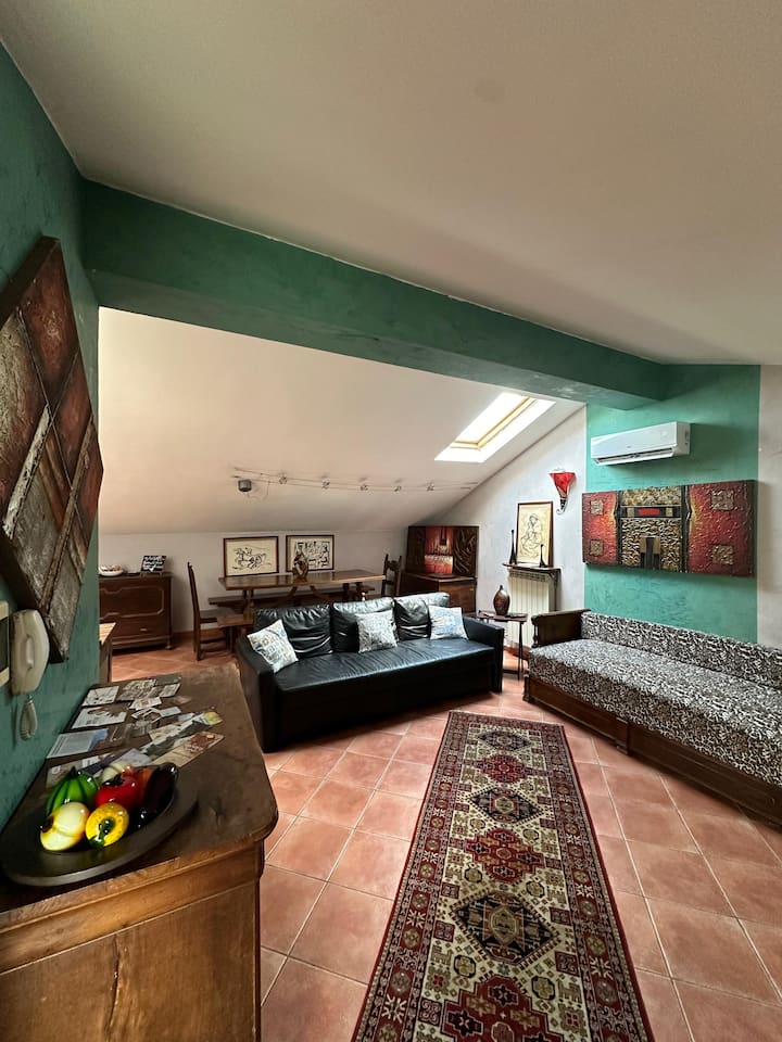 Civico 5 - La Mansarda Accogliente - 克雷莫納