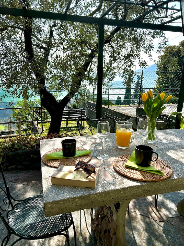 Vue Lac Imprenable & Jardin - Proche Varenna - Varenna