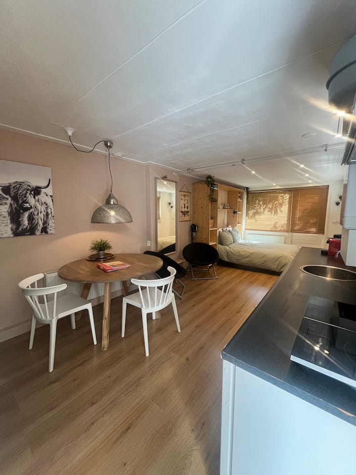 Het Fijnste Huisje In Castricum - Castricum