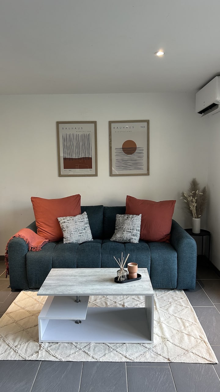 T2  Jardin•spa•clim•proche Plage Et Commerces - Le Lavandou